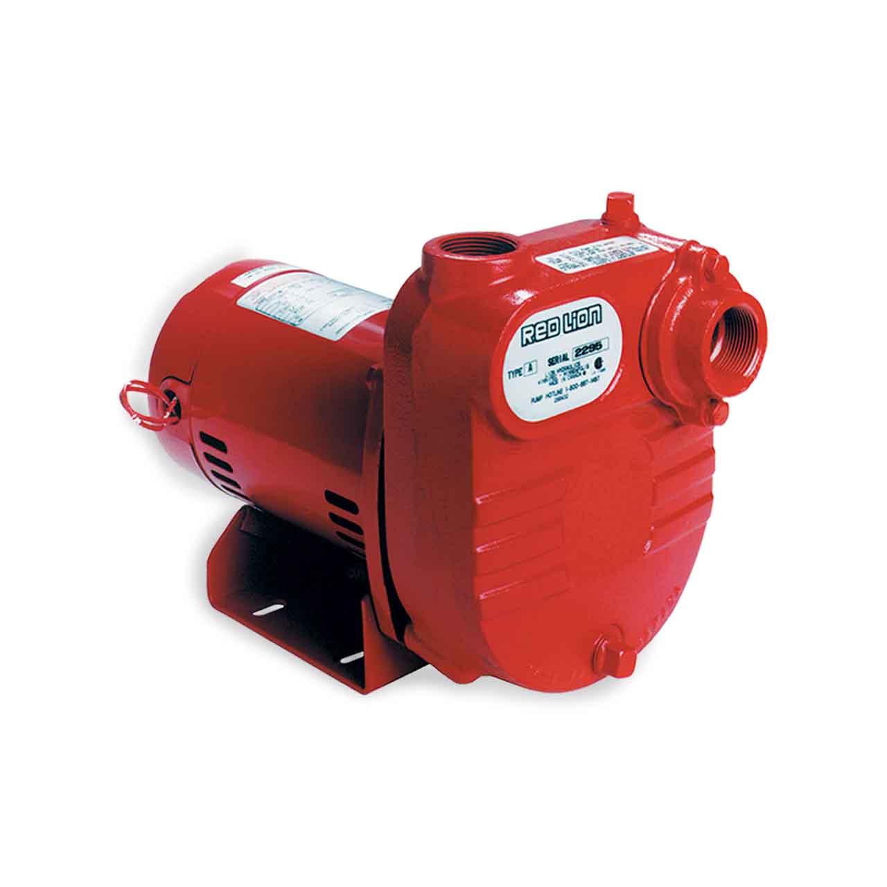 Red Lion - Red Lion RL-S50 Cast Iron Surface Effluent Pump 0.5 HP 115 ...