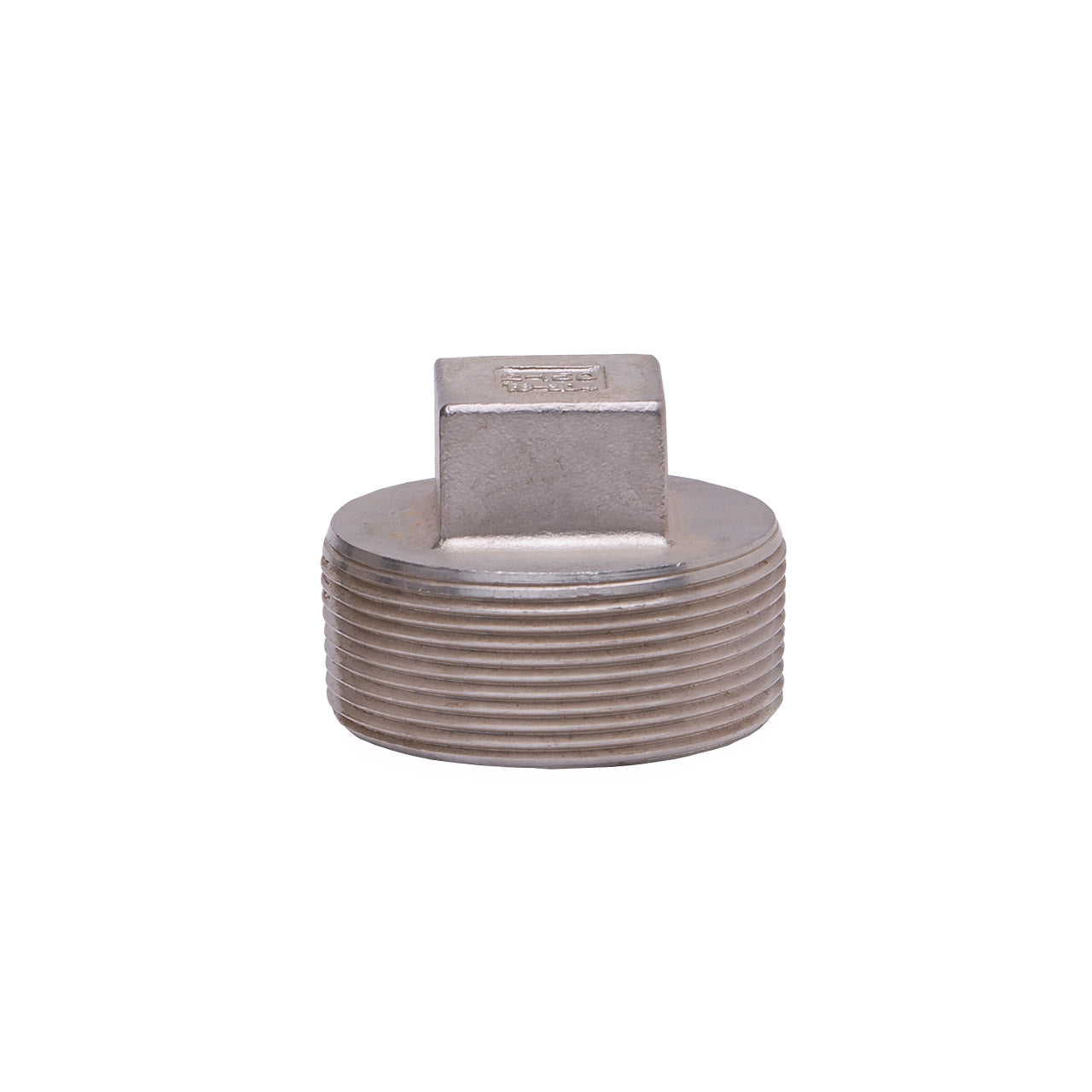 304 Stainless Steel Plug 2" – R.C. Worst & Company Inc